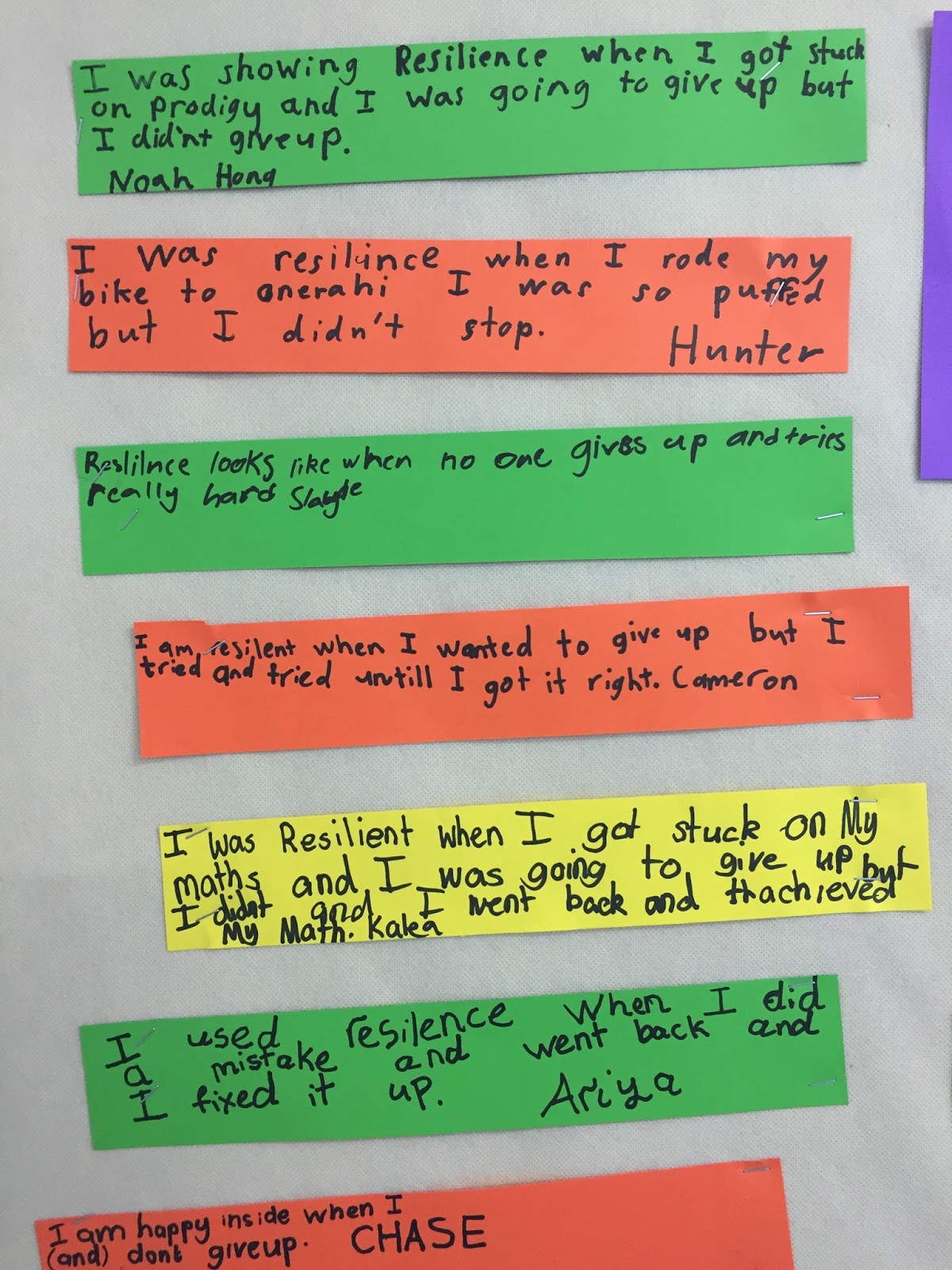 Pod 4 Hurupaki School: Resilience