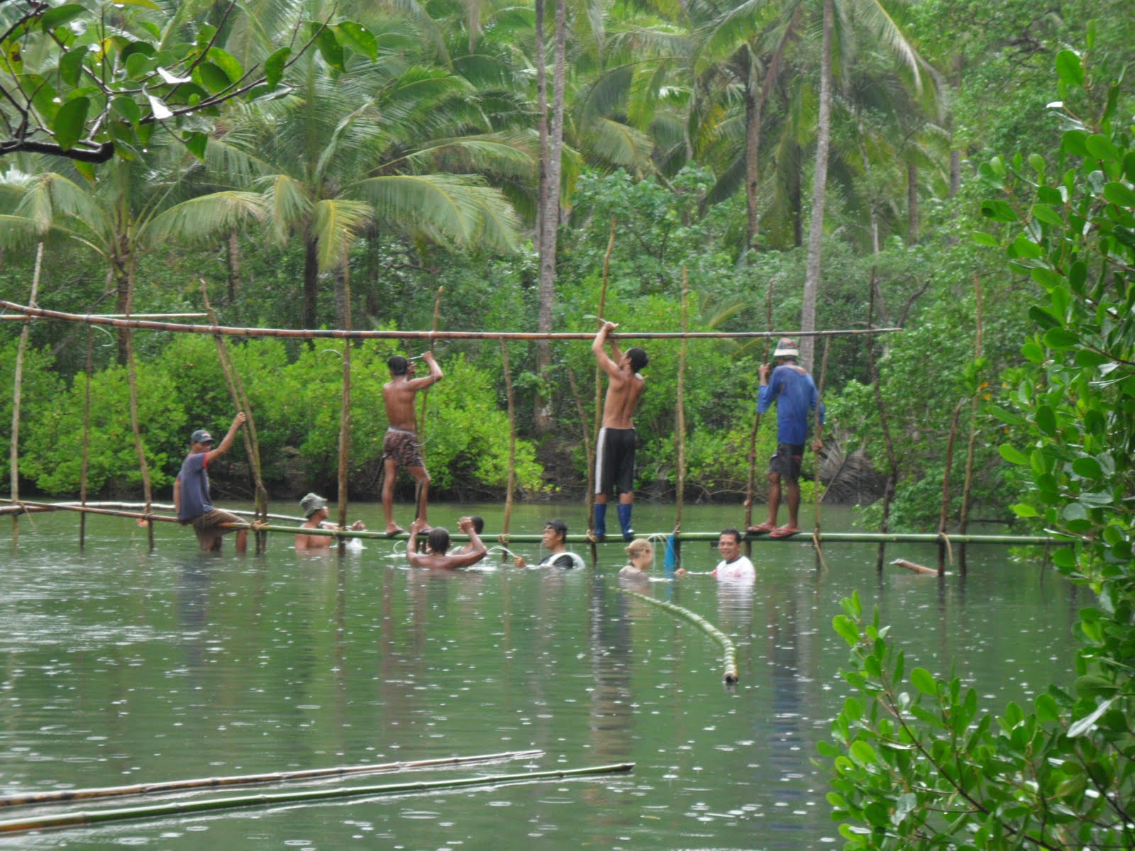 weltwaerts auf den Philippinen: Bangus Cage Construction