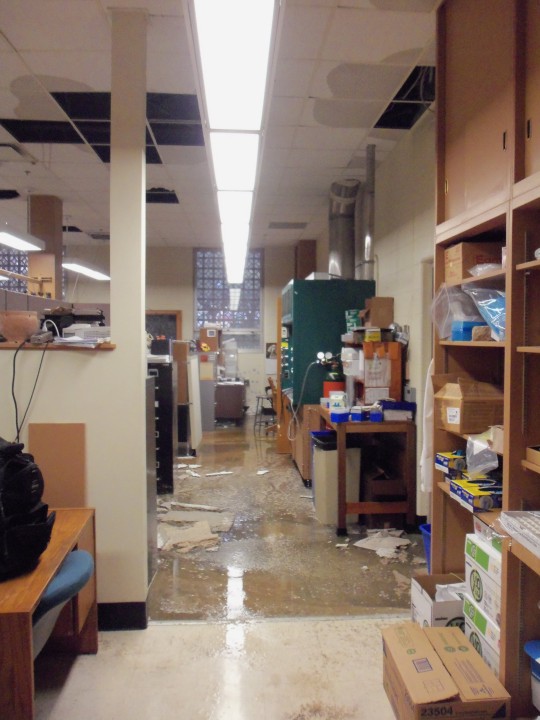 Pix of the Day and Stuff: Lab Flood