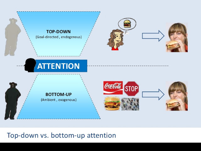 administracion: Análisis TOP DOWN Y BOTTOM-UP