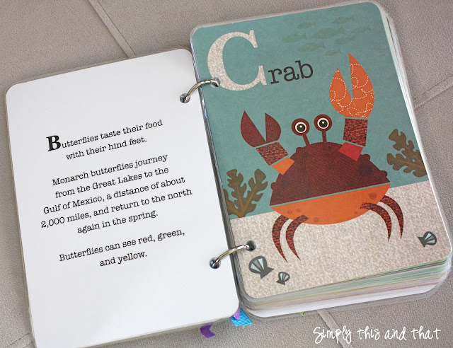 Simply This and that: Simple Alphabet Book