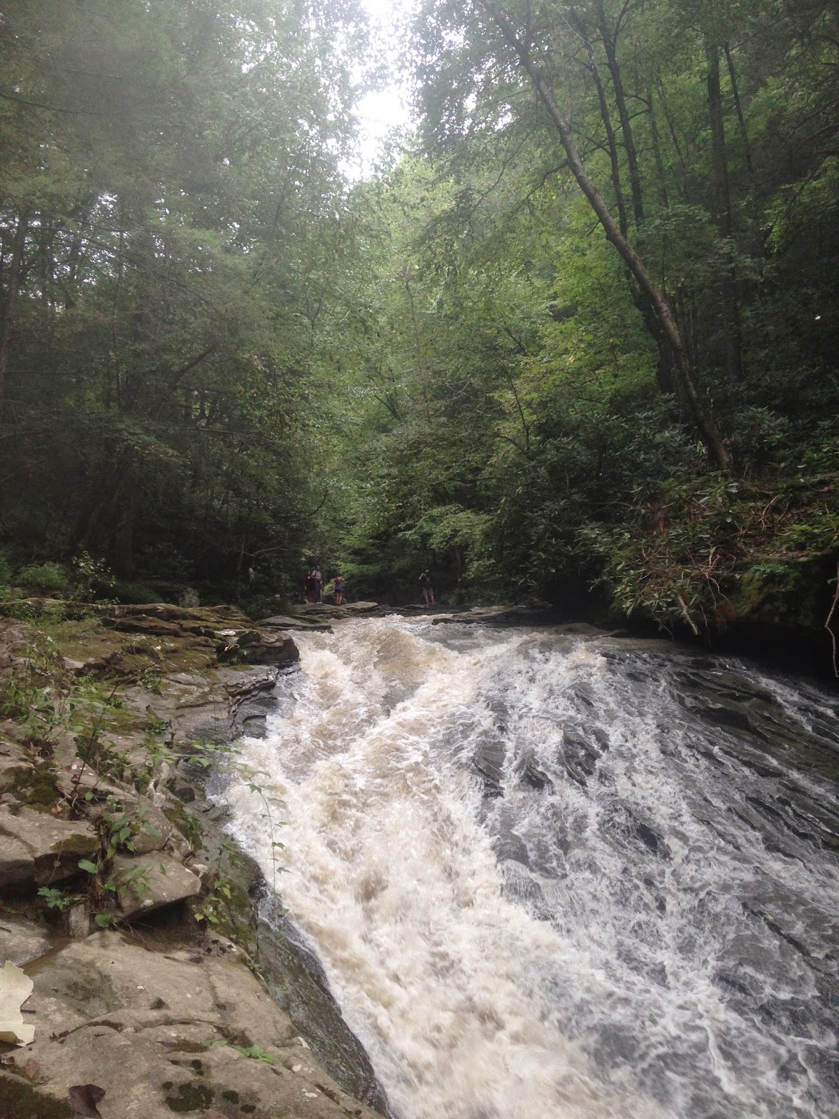 Serving where the need is great in Phelps, KY