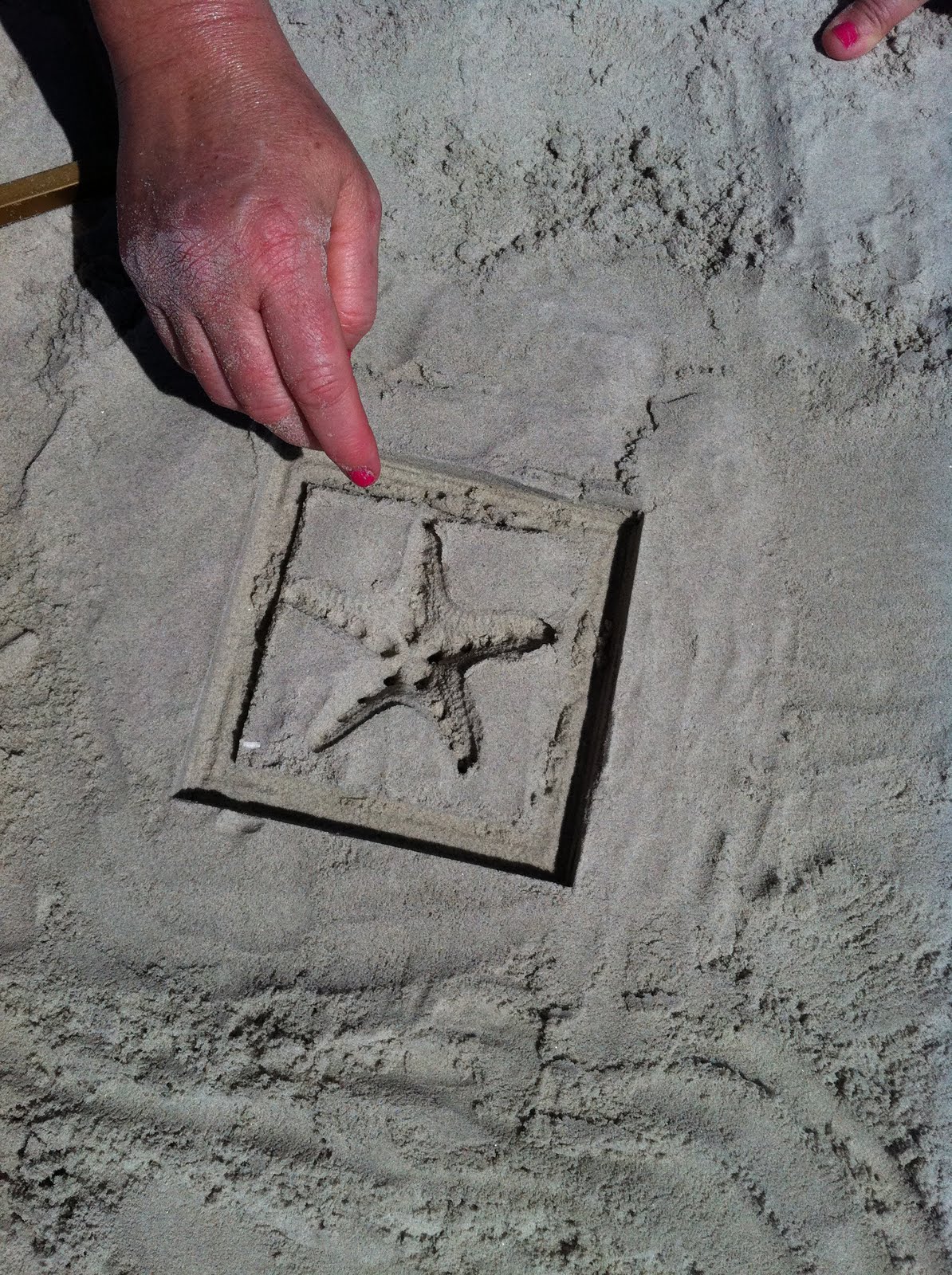 Red Heads Craft More Fun: Sea Shell Plaster Mold