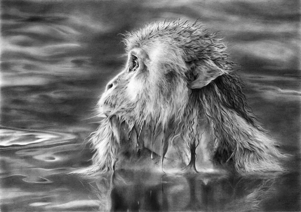 Design Stack: A Blog about Art, Design and Architecture: Hyper ...