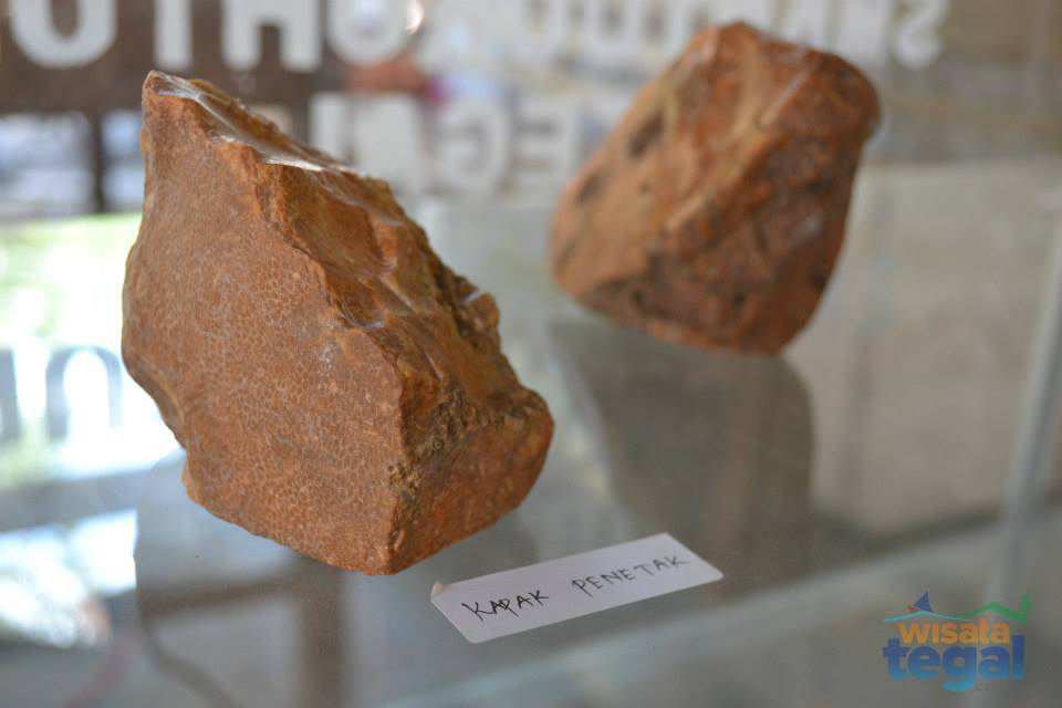 Catatan Masa Lampau Peradaban Umat Manusia: KEHIDUPAN MASYARAKAT AWAL ...