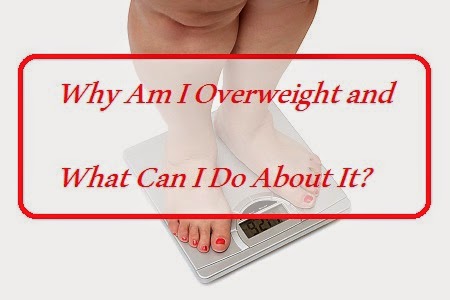 Why Am I Overweight and What Can I Do About It? ~ weight loss
