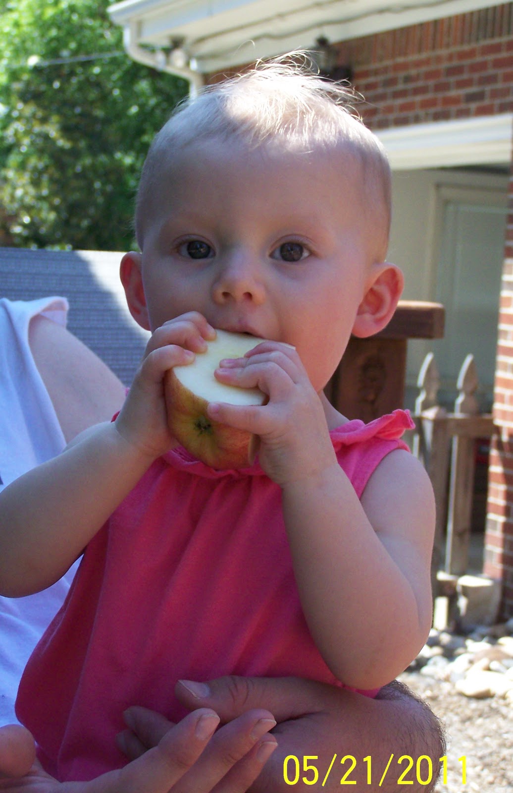 Little Mommy, Big Appetite: Creating a "Mini-Foodie": Homemade Baby Food