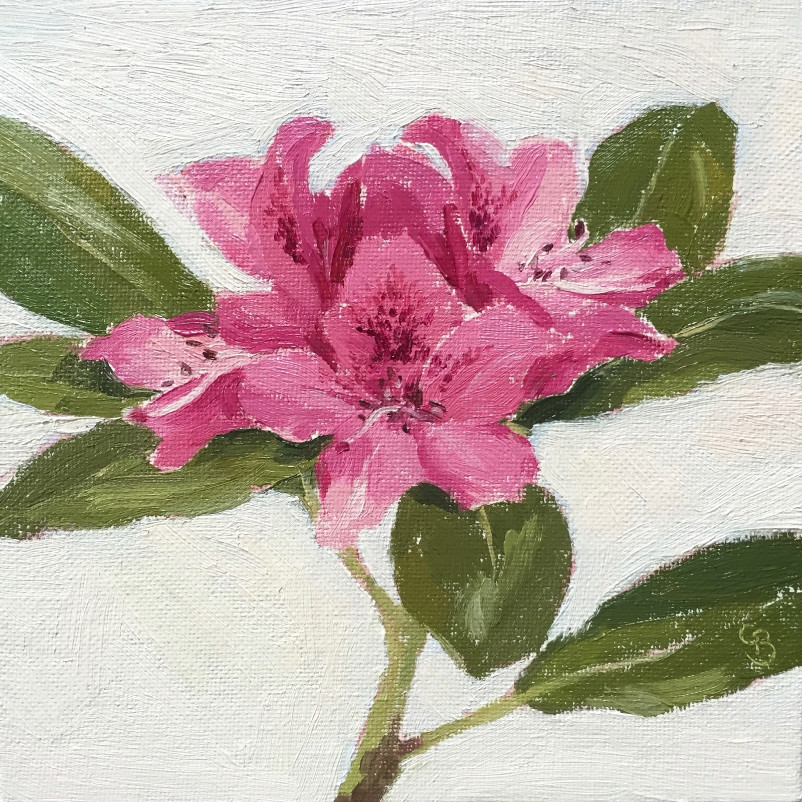 Clare Bowen Artist: #65 'Rhododendron' 6x6"