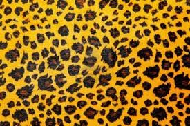 Animal Print
