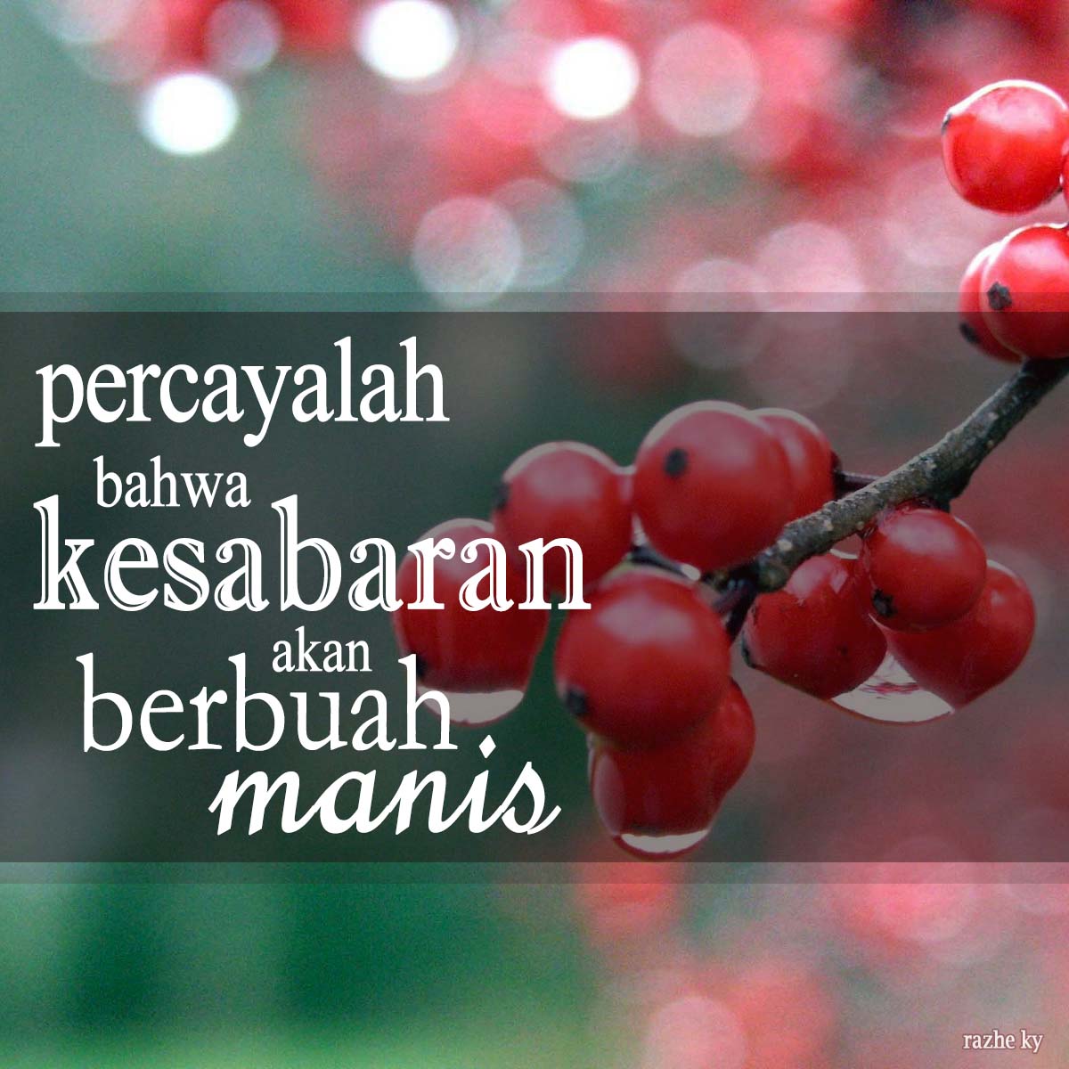 Kesabaran akan Berbuah Manis ~ Razhe Stories