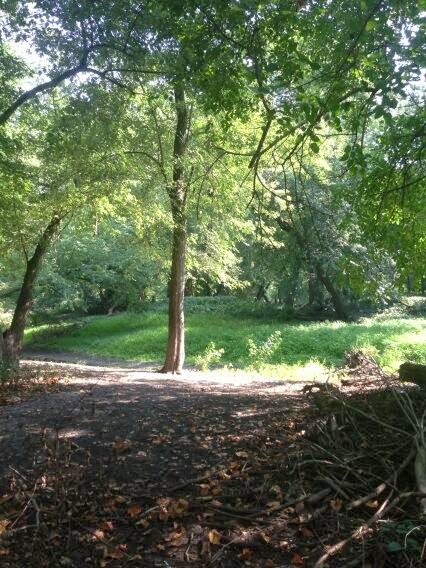 Wetland Hydrology Indicators: Geomorphic Position