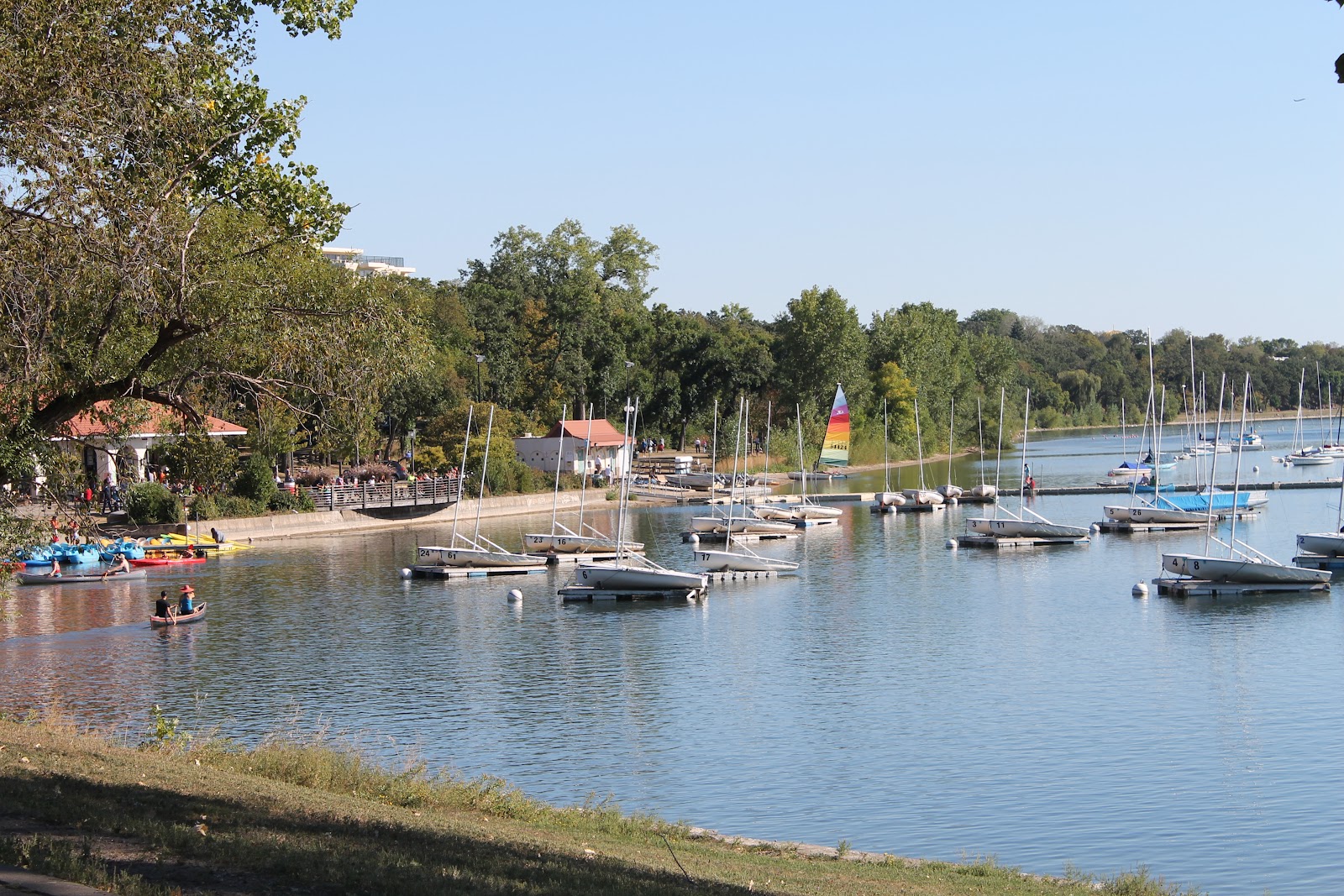 Our Minnesota Move: Lake Calhoun