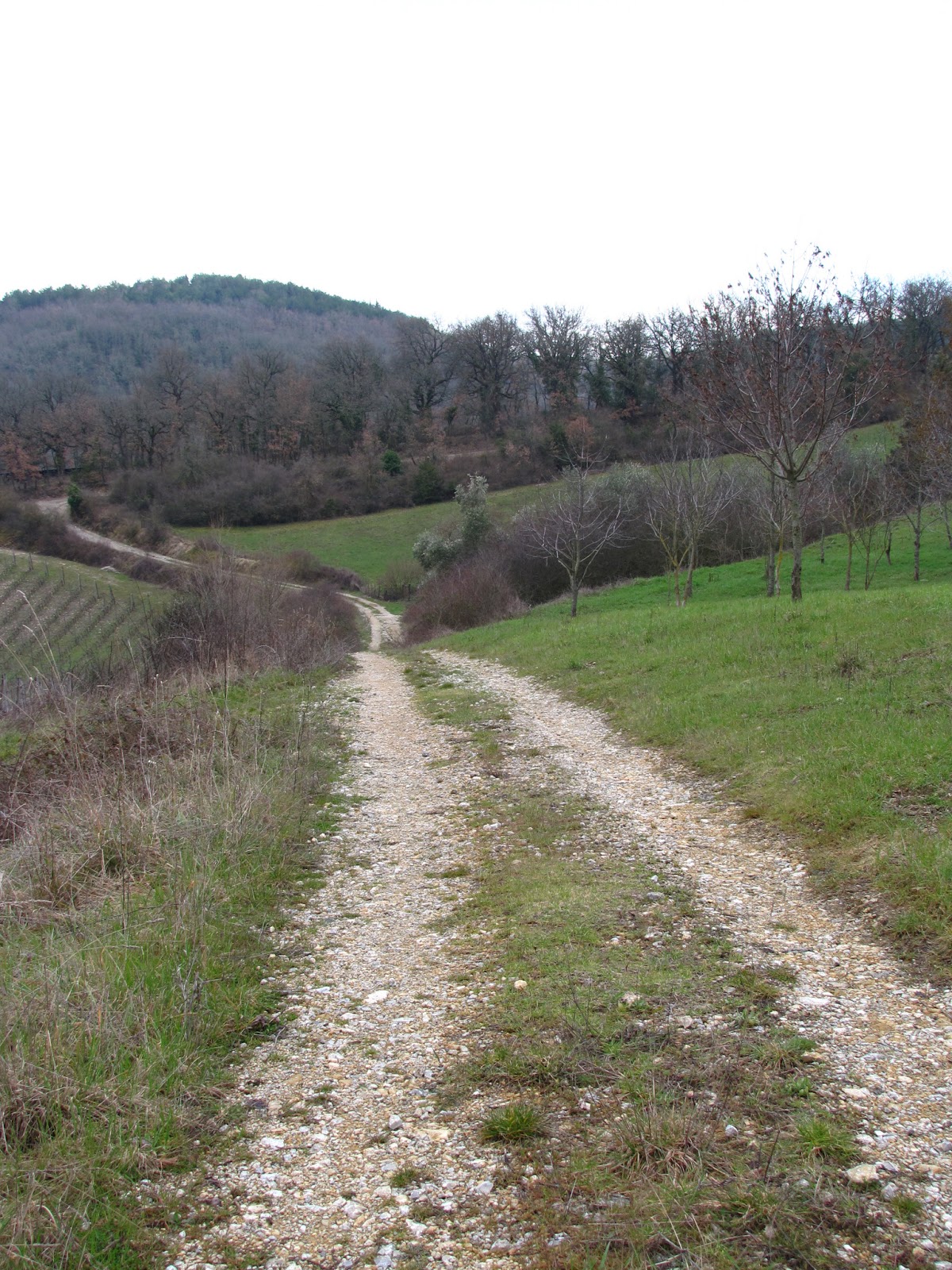 La très grande balade: Entre Florence et Sienne, douce Toscane.