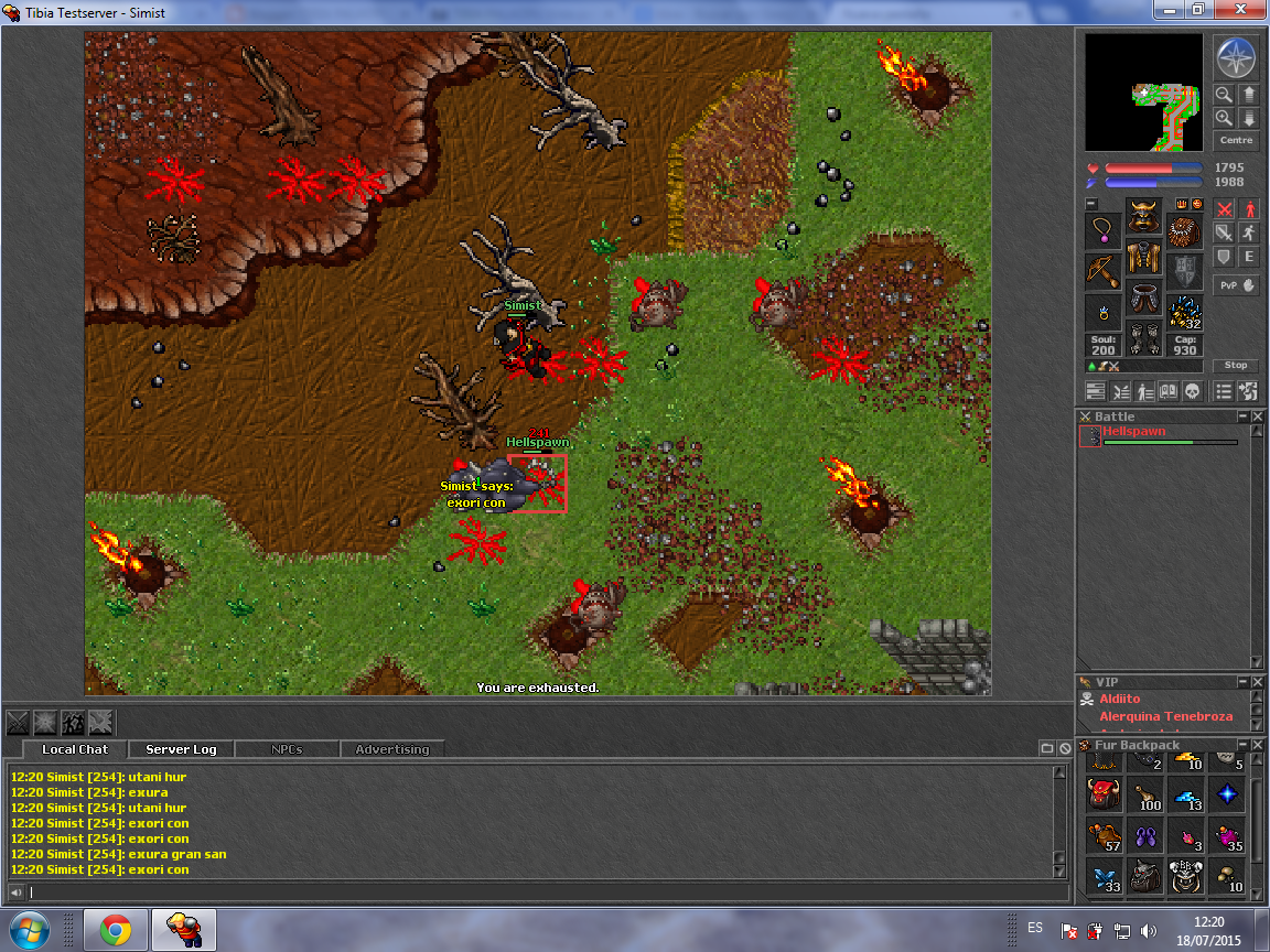 TIBIA PALADIN: febrero 2018