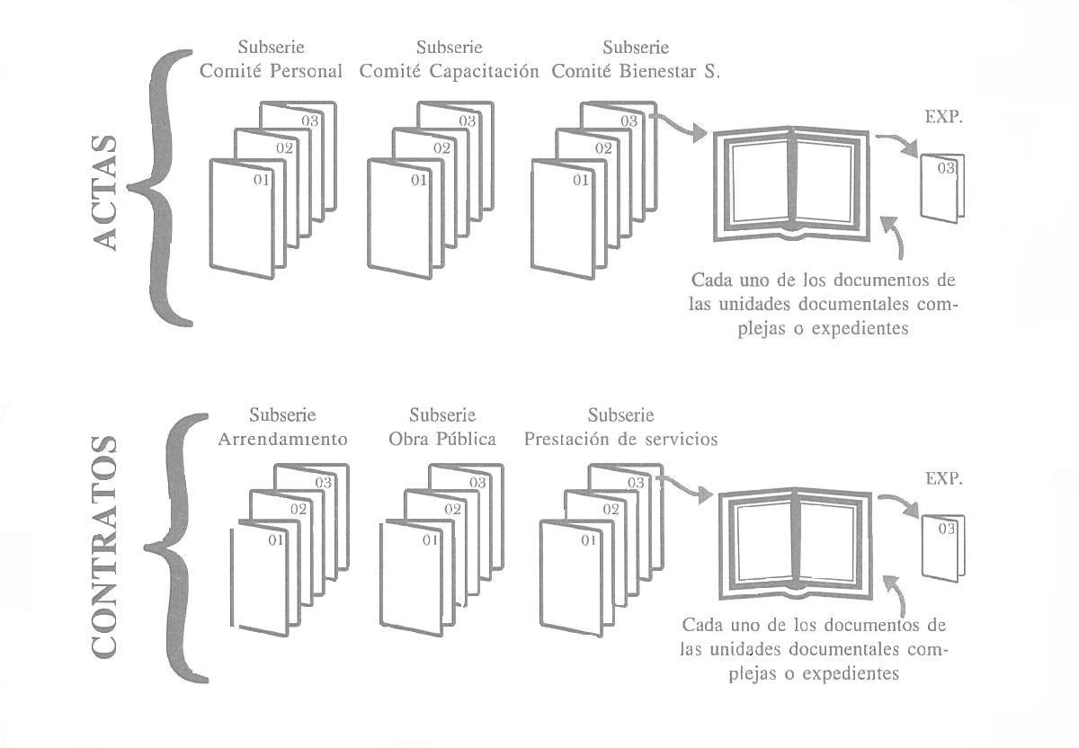 CARTILLA DE ORDENACIÓN DOCUMENTAL : SUBSERIES
