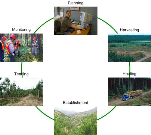 Journalism Studies: USDA Generates a new Concept of Agro Forestry