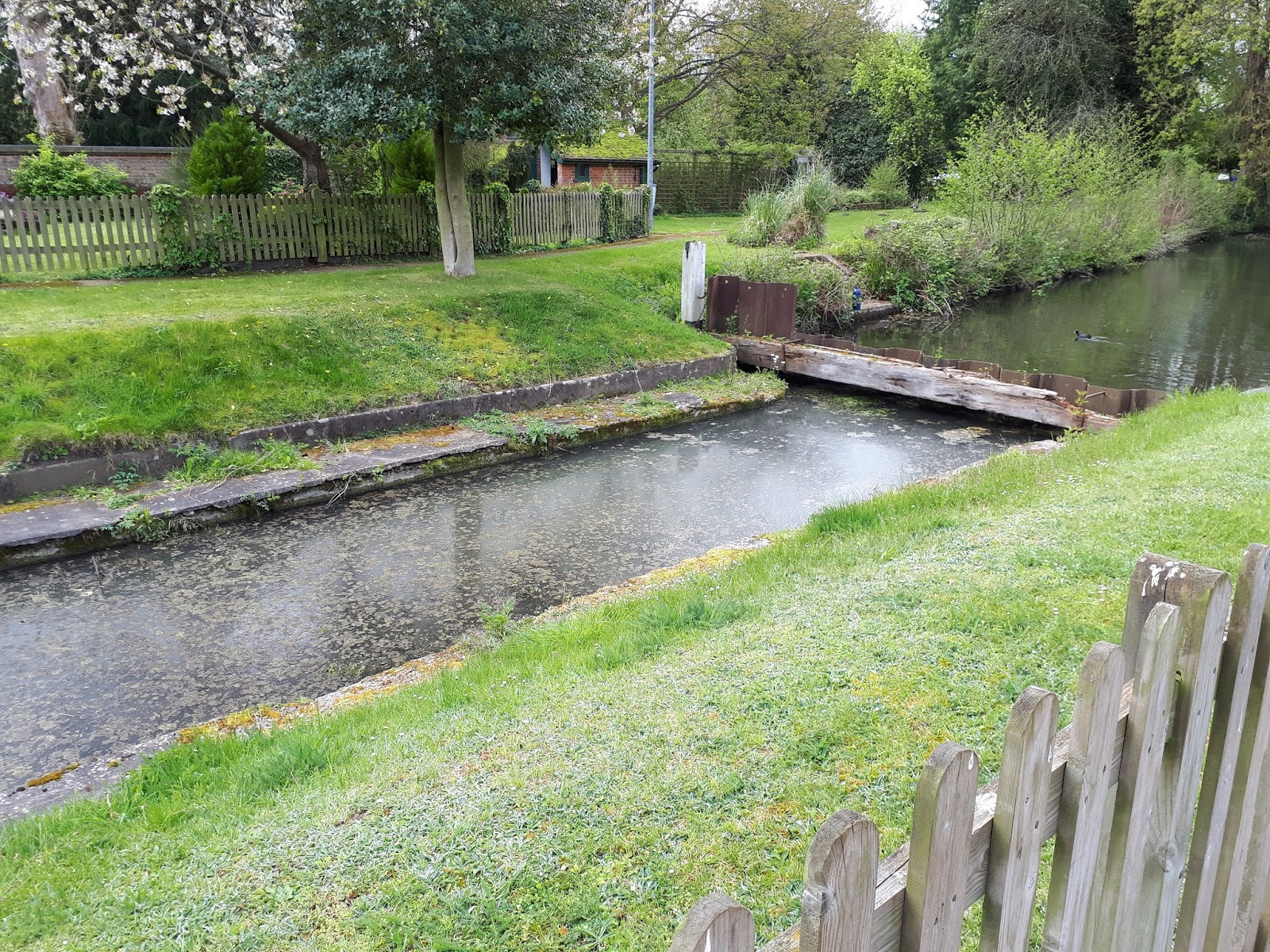 and Millie makes three: Remenham Farm Moorings (River Thames) – Monday ...