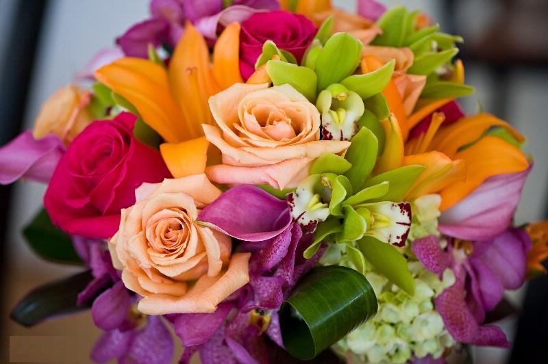 Beauty Of Flowers: Mix Colors Roses