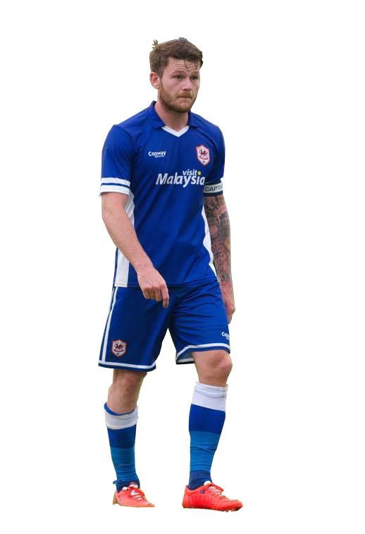 Noticias Y Renders al Instante: Cardiff City 2014-2015