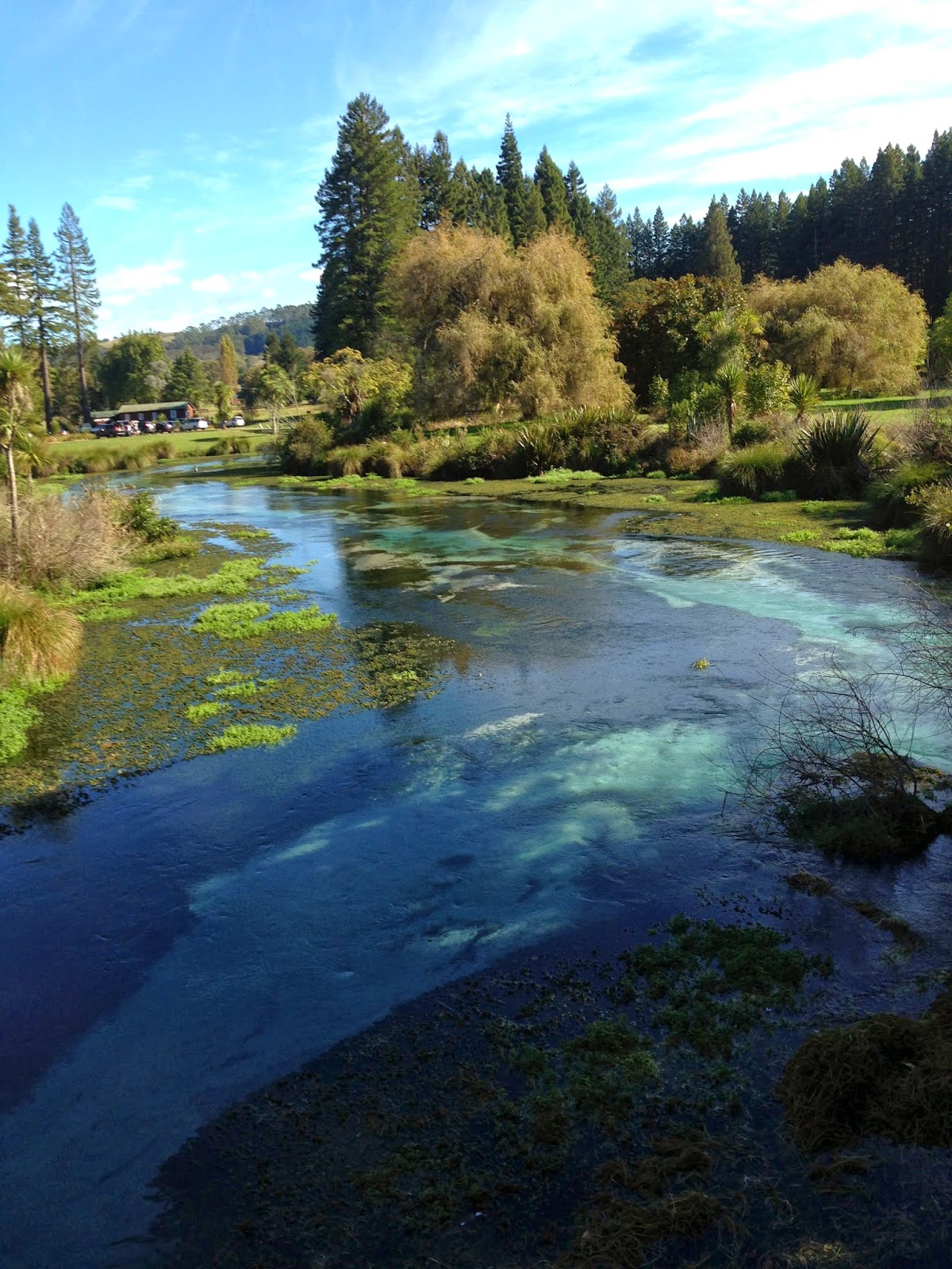 New Zealand Cycle Touring Route - Around Lake Rotorua ~ Cycle Touring ...