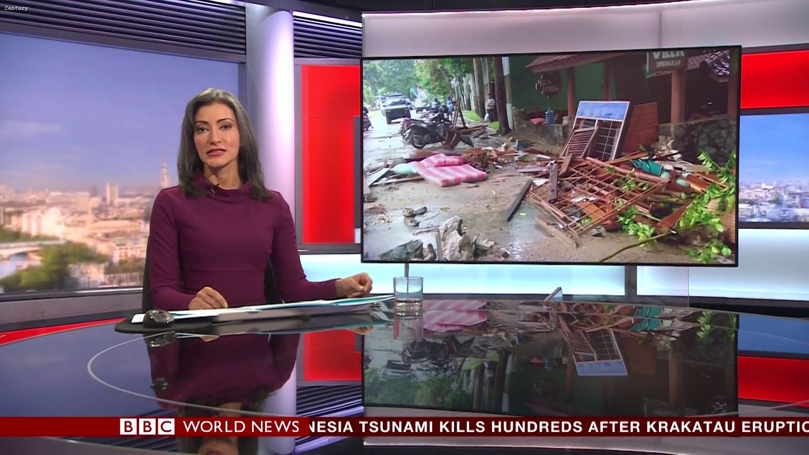 Sharanjit Leyl - 23 Dec 18 - BBC World News (I)