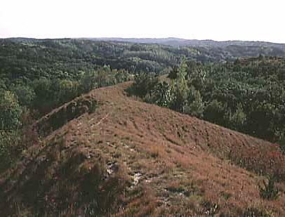 Landforms in the World: Aeolian Landform (11. Loess)