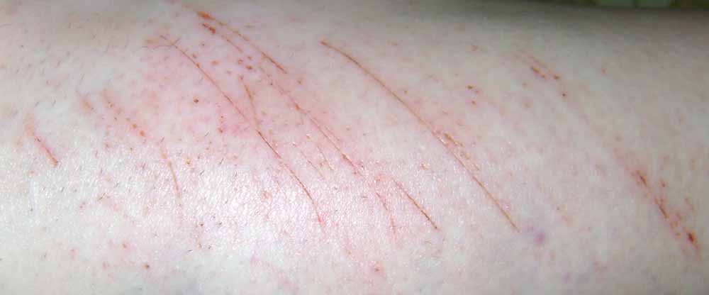 this and that...: It has been a while...