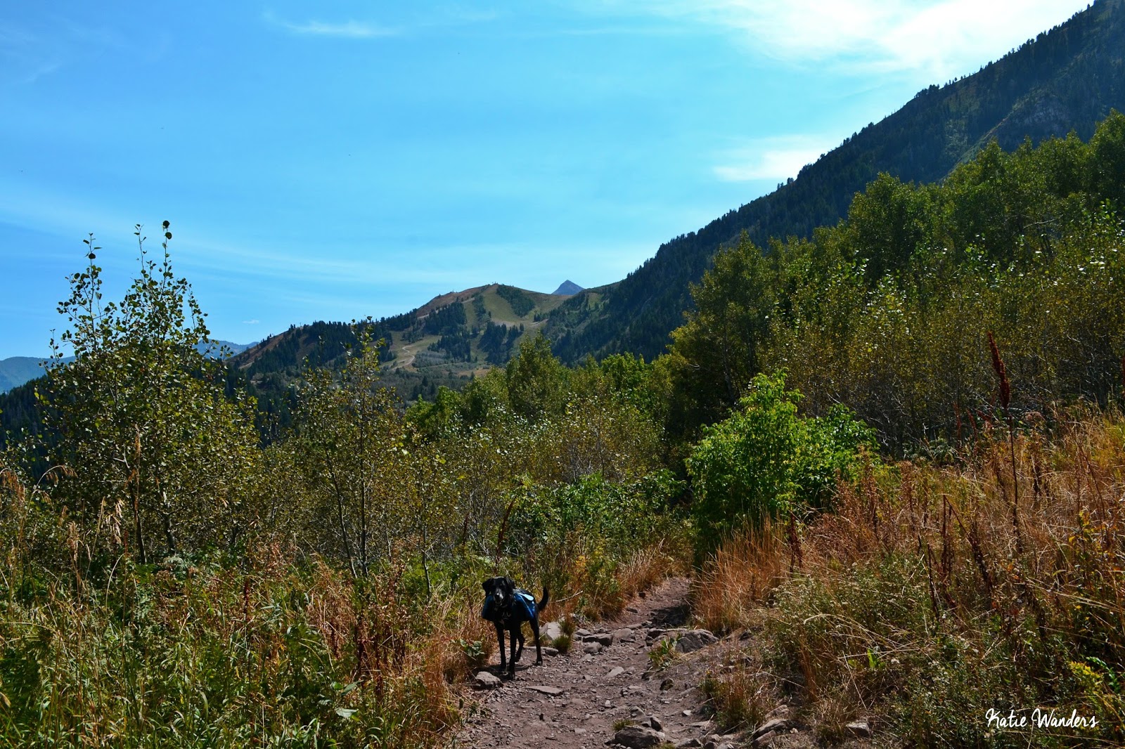 Katie Wanders : Stewart Falls Hike via Aspen Grove, Provo Utah