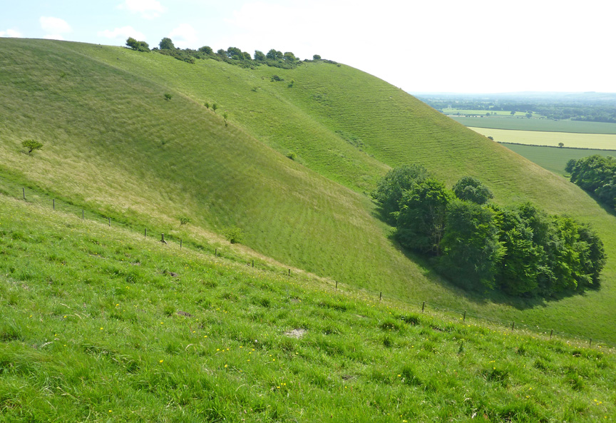 Pewsey Downs
