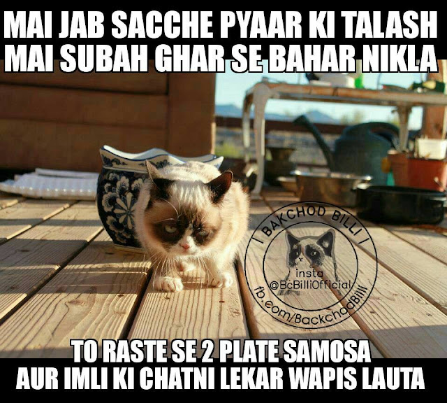 10 Bakchod Billi Memes that will make you LAUGH OUT LOUD - Inglish Baba ...