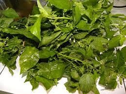 Teratai Kasih Family: Menu diet tengah hari.