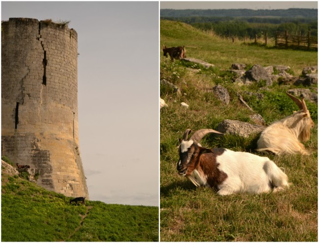 Ma nouvelle vie... en Picardie !: Coucou Coucy - Recette Muffins ...