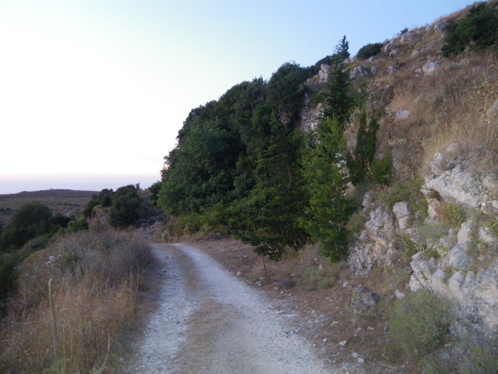 ΔΑΜΟΥΛΙΑΝΑΤΑ: ΔΙΑΔΡΟΜΕΣ ΠΕΖΟΠΟΡΙΑΣ