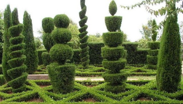 FIGURAS CON ARBUSTOS - PODA ORNAMENTAL O PODA TOPIARIA : TERRAZAS Y ...