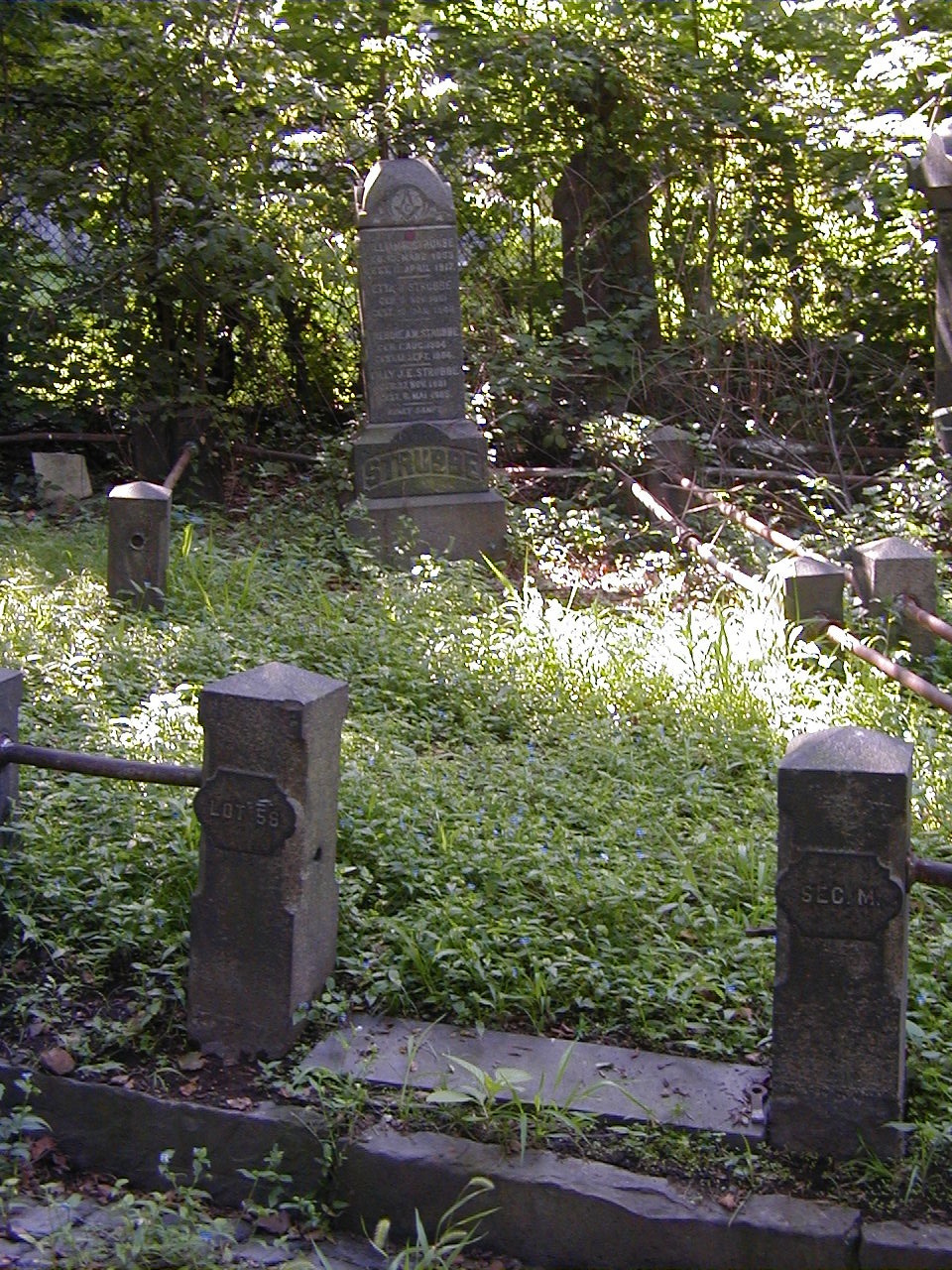 Quilts, Gravestones, and Elusive Ancestors: Strubbe Plot and A Mystery Man