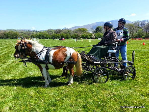 The Brick Castle: Playing With Shetland Ponies at the Bank Holiday weekend.