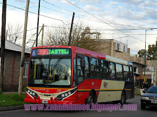 Colectibus - Zona de Buses: LINEA 395