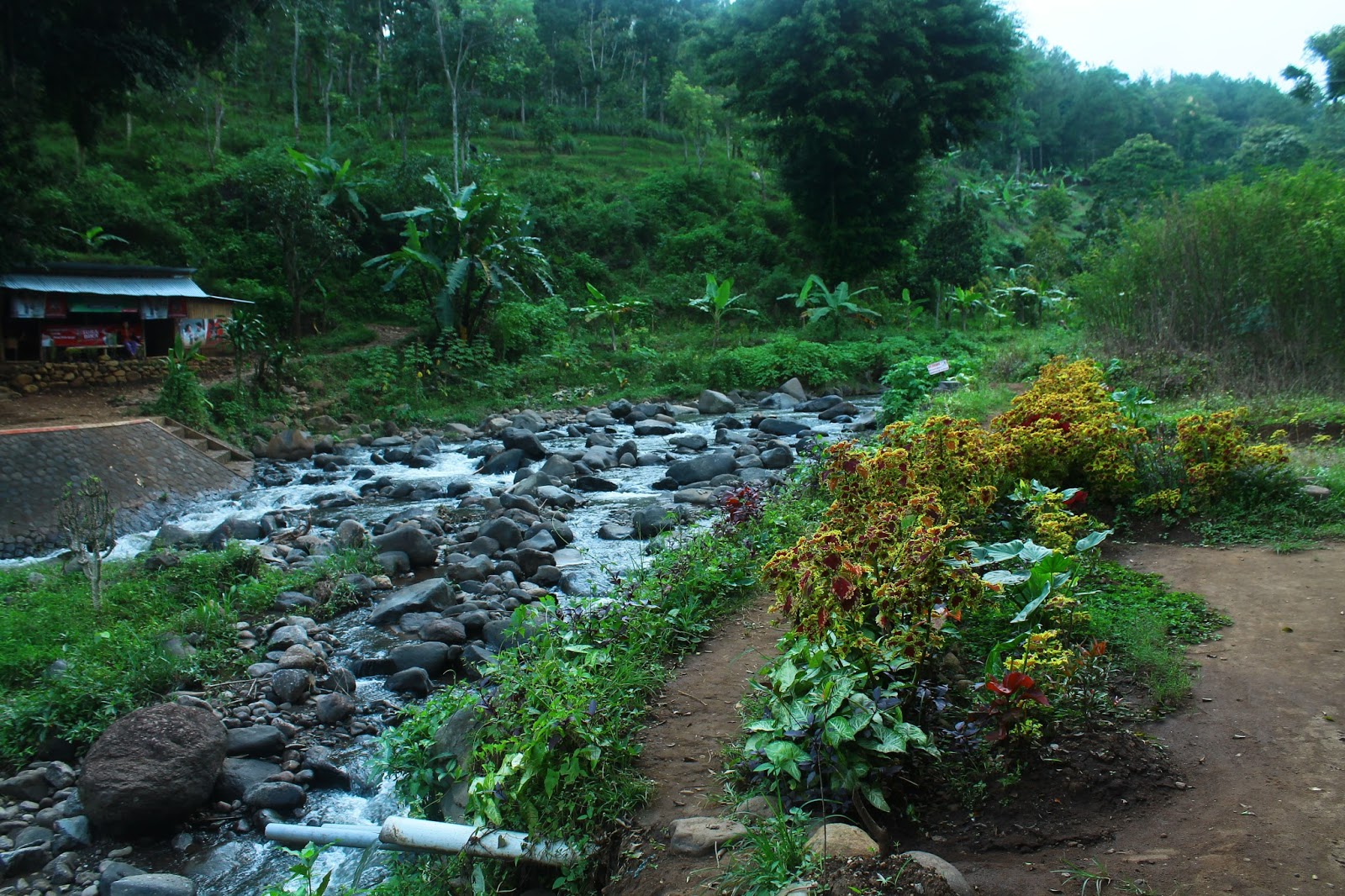 Tempat Wisata di Kabupaten Kediri - Sumber Podang