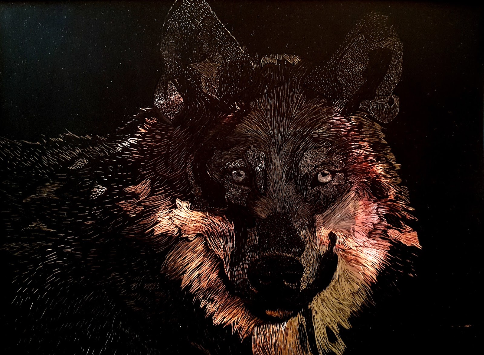 Scratchboard Drawings Of Wolves
