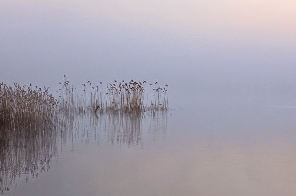 Schrijf-Blog: Stilte