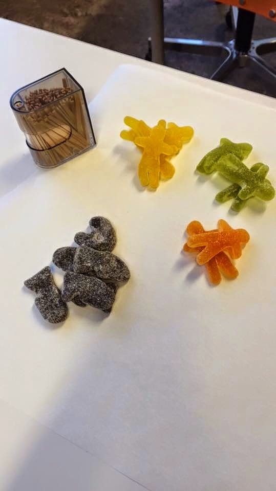 Christines naturfagkrok: DNA med seigmenn