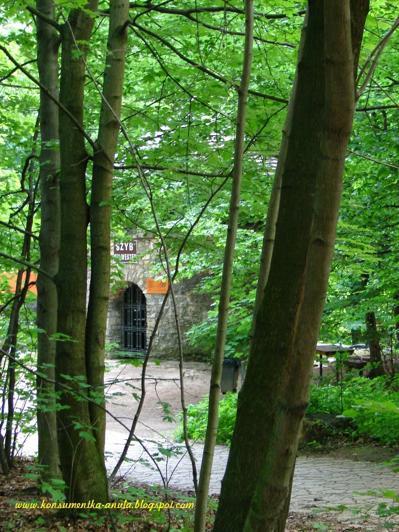 Anula bloguje... testy, opinie, medycyna, kulinaria i inne kreatywności ...