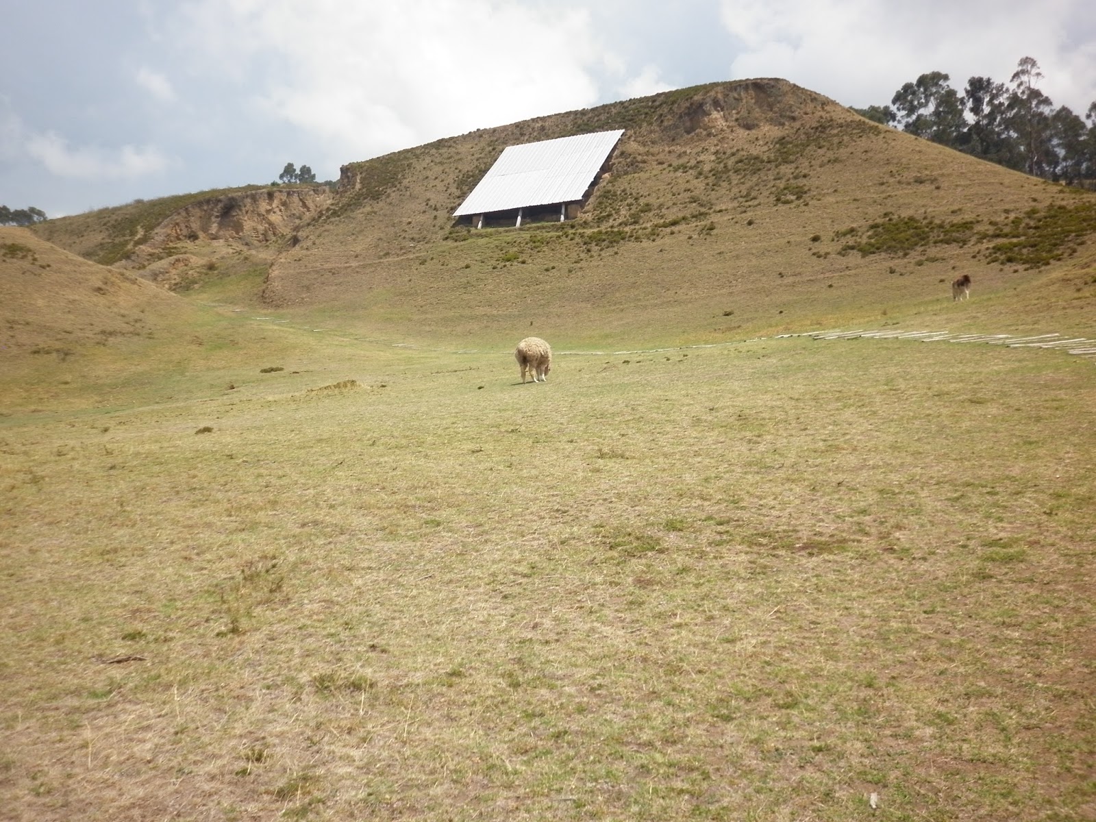 Parque Arqueológico Cochasquí: enero 2016