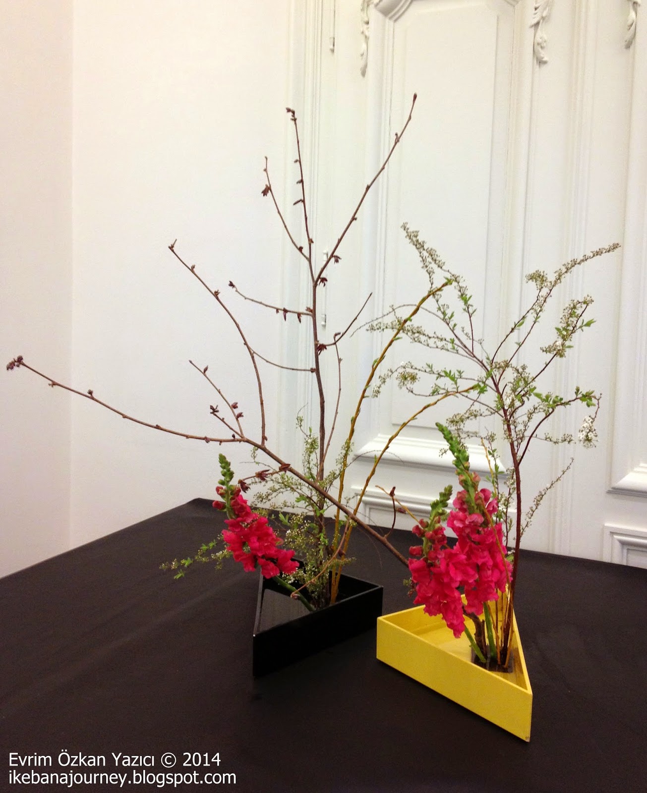 Evrim's Ikebana Journey: Moribana Moribana