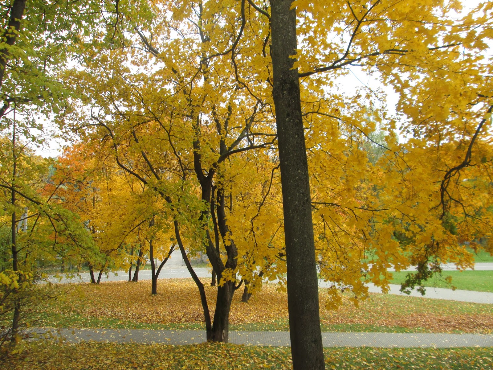 The Green Passport: Photo Story : Musim Gugur Di Eropa