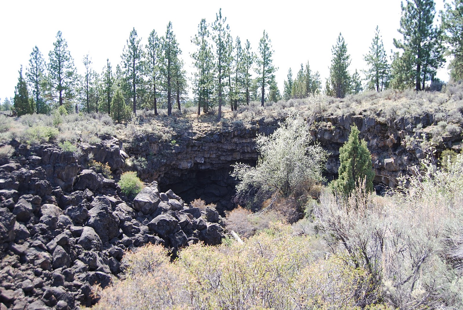 Wilamar Farm: Arnold Ice Cave & Hidden Forest Cave