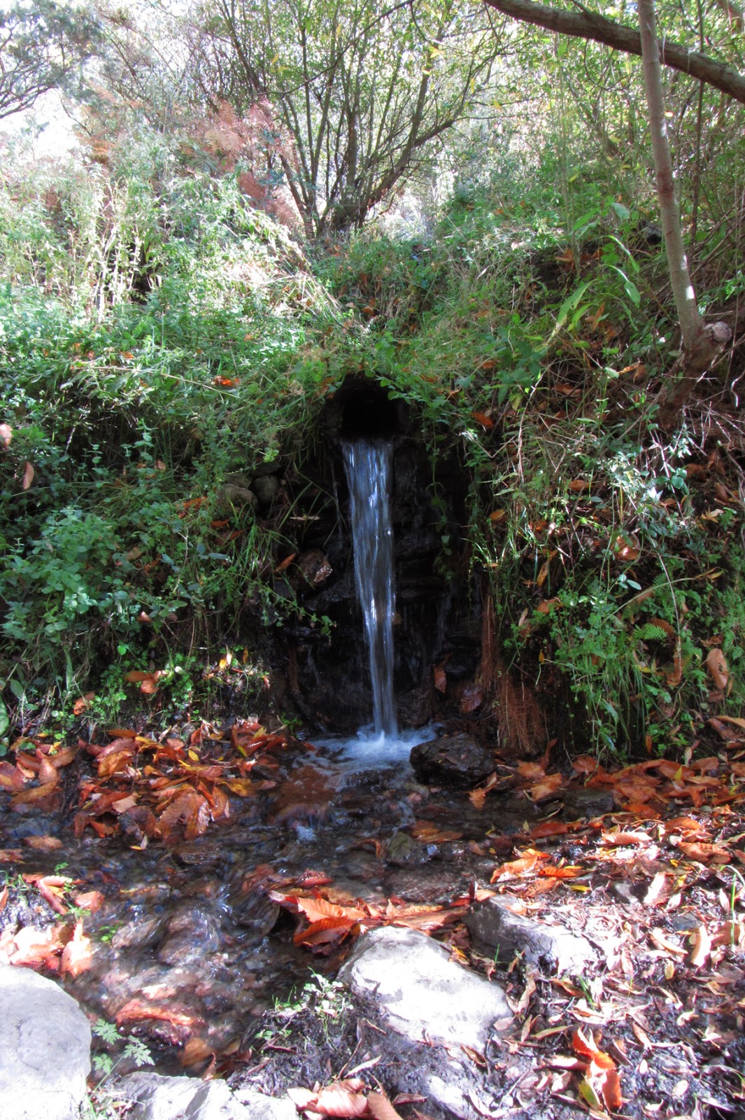 Caminando por Sierras y Calles de Andalucía: Sulayr Tramo 4: Tello ...