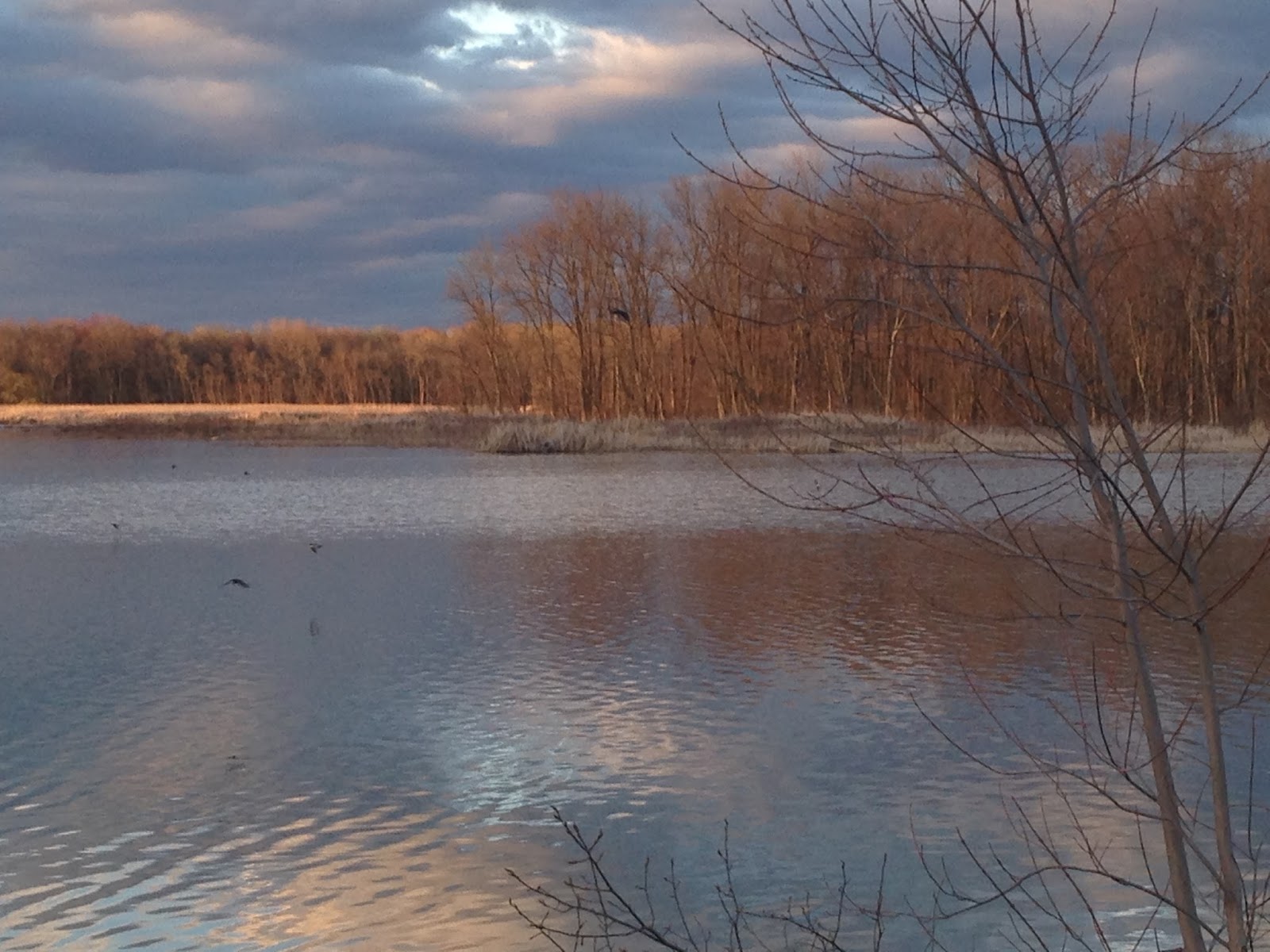 Sacred Hunter: End of One Season - Beginning of Another