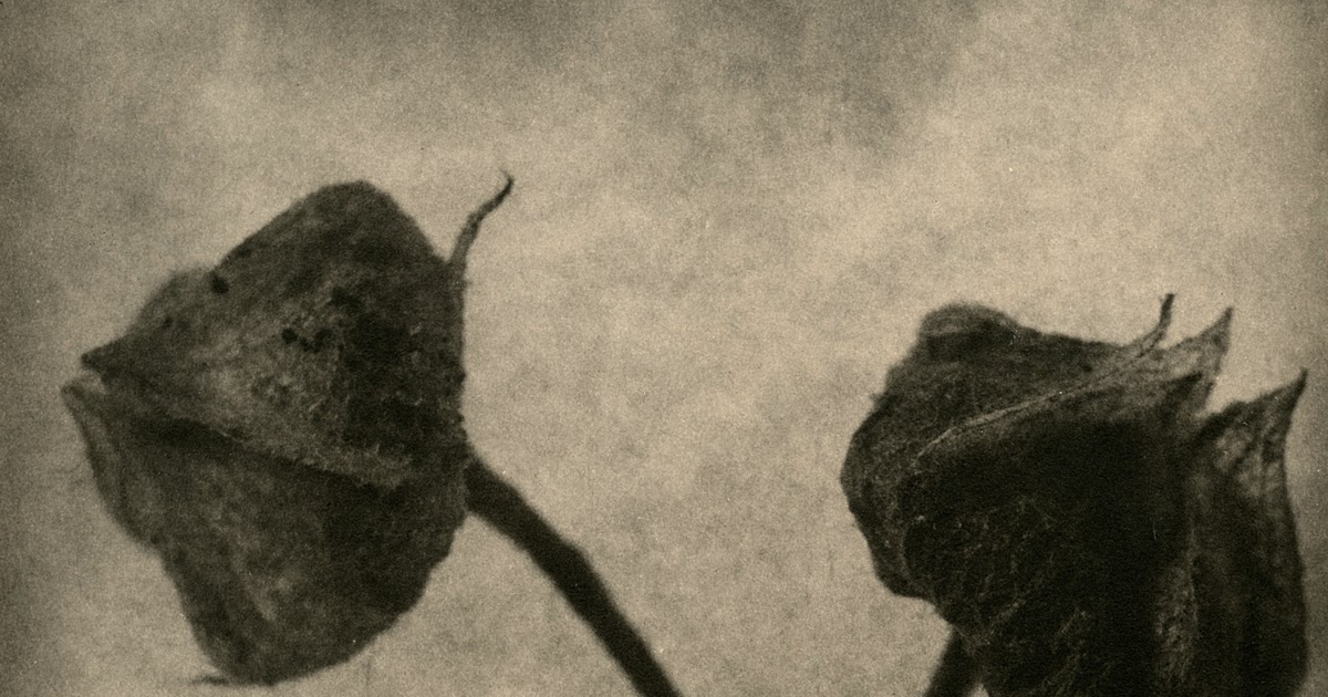 PHOTODOCUMENT & pinhole: Lith print - moja walka (2) czyli jak zostałem ...