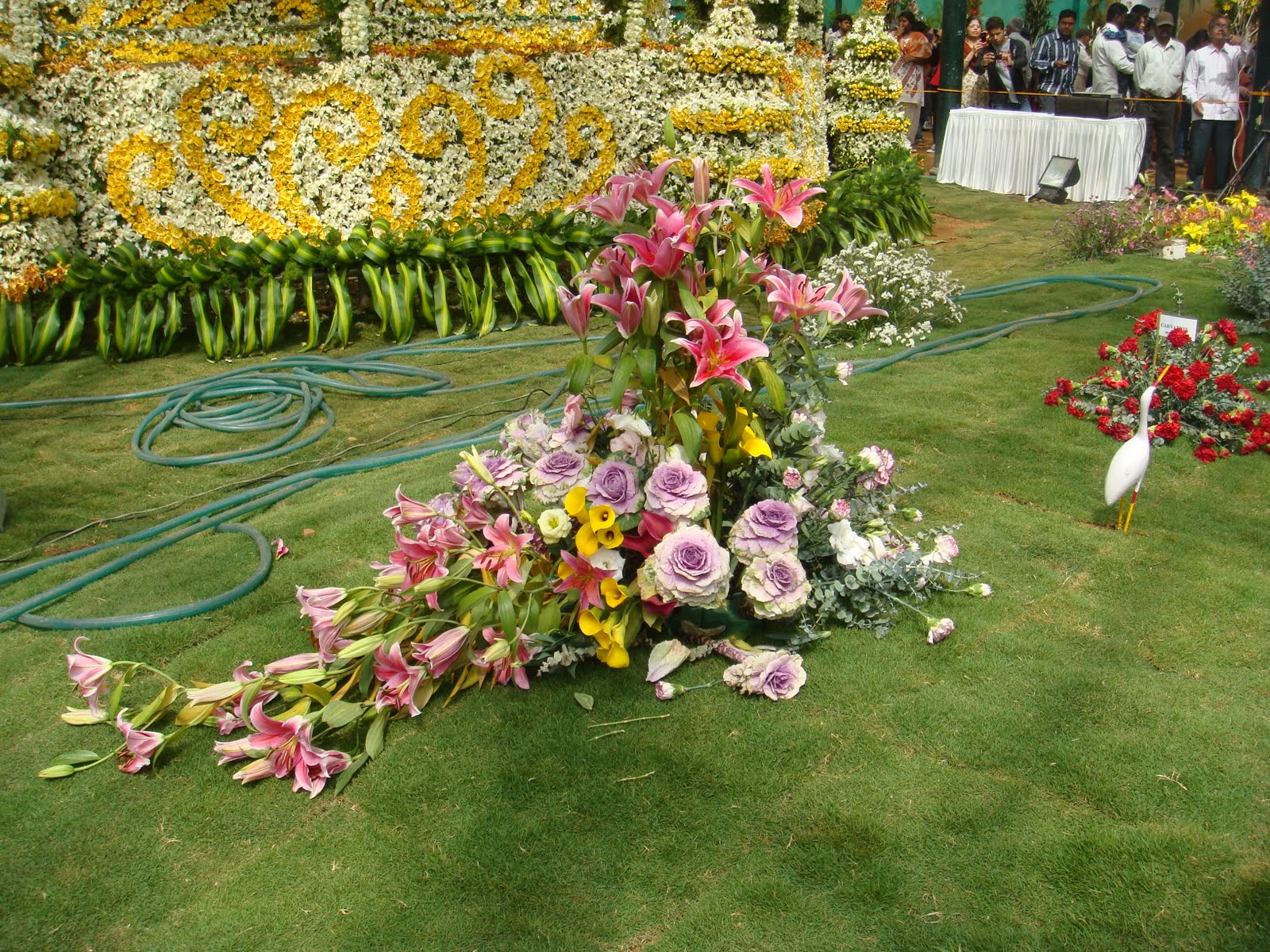 A Protest of Romance: Lalbagh Flower Show - 24 Jan 12